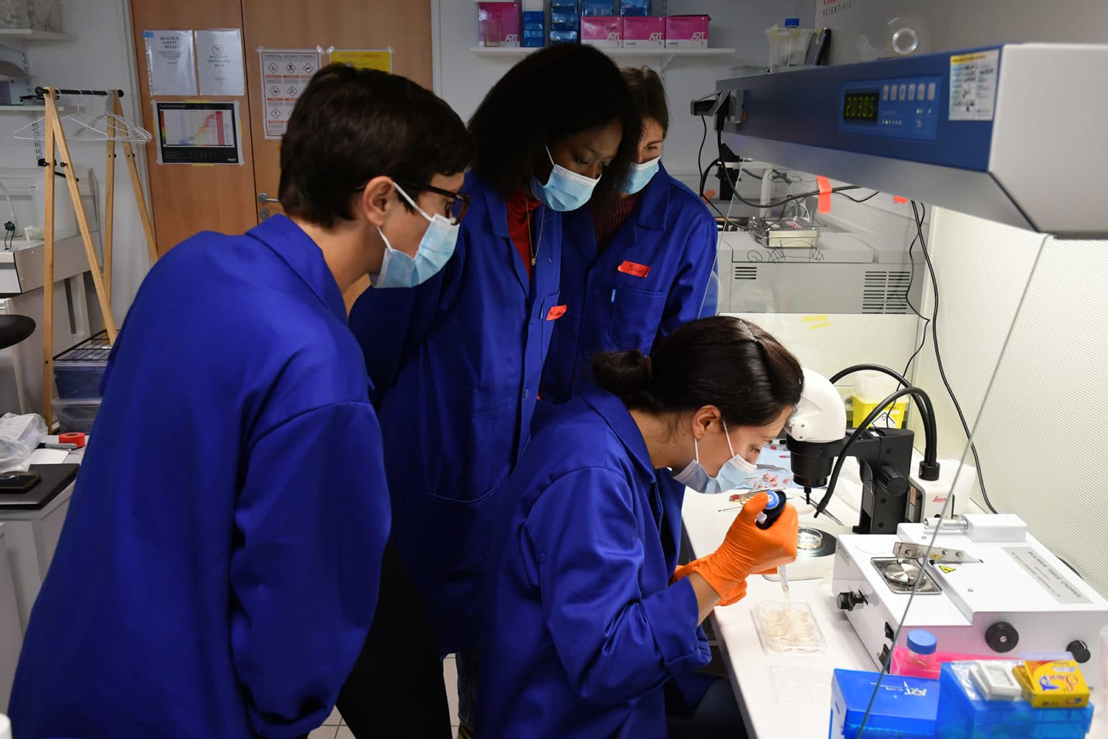 Bordeaux Summer School - WSIEN 2024 - Call students - Bordeaux school ...